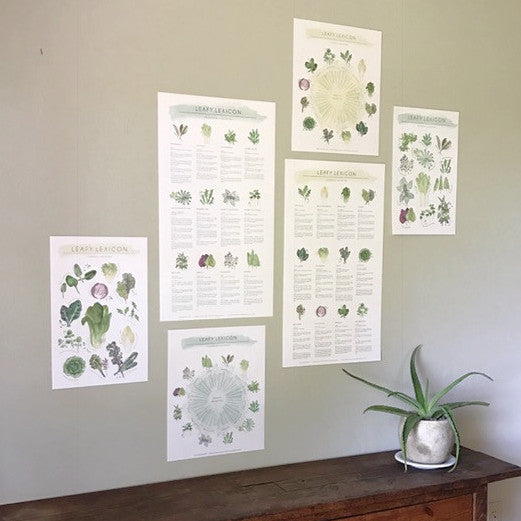 The Complete Leafy Lexicon Poster Collection