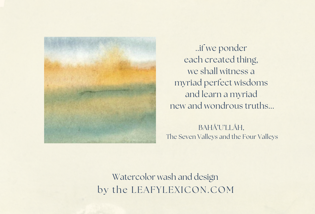 Conserve, WISDOM—greeting card – Leafy Lexicon