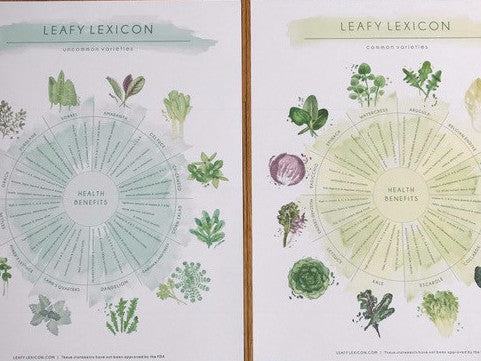 Leafy Lexicon guide to healthy edible greens-featuring 24 varieties.