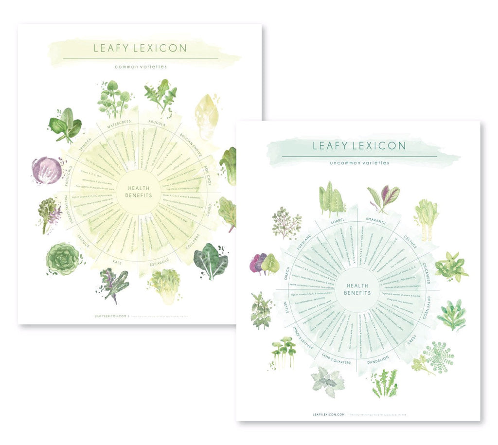 Leafy Lexicon guide to healthy edible greens-featuring 24 varieties.